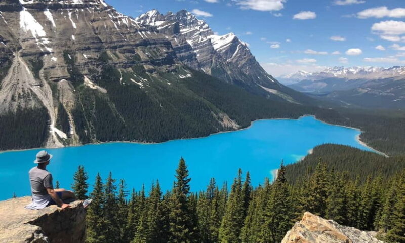 From CalgaryColumbia Icefield, Peyto & Bow Lakes Day Trip - Practical Tips for Travelers