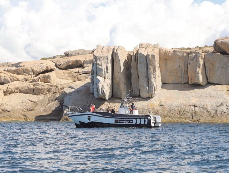 From Calvi: 2-Hour Sunset Cruise to Revellata Peninsula - Final Thoughts