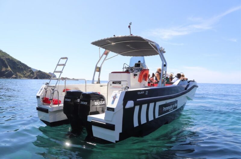 From Calvi: 2-Hour Sunset Cruise to Revellata Peninsula - FAQ