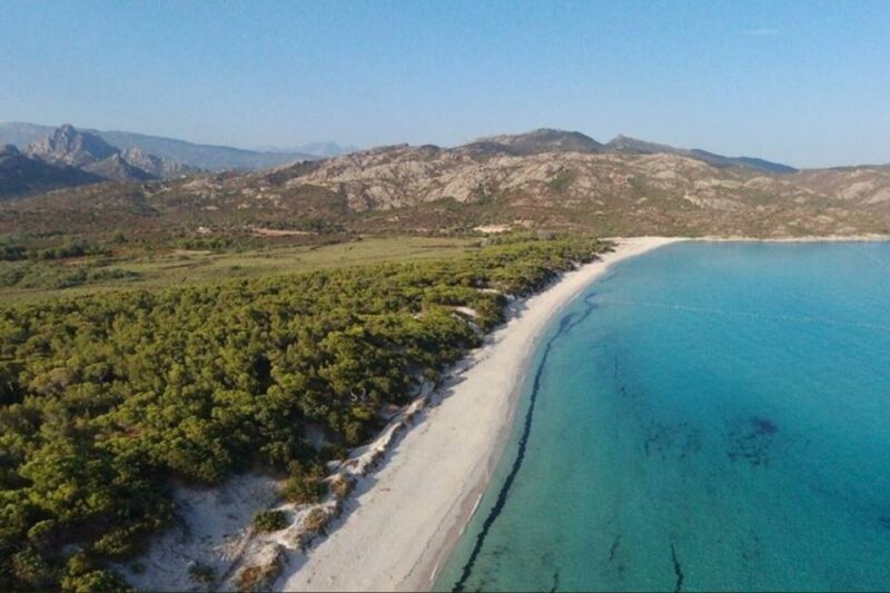From Calvi: 4x4 Day Tour Mountain & Agriates' Saleccia Beach - Lunch and Local Flavors