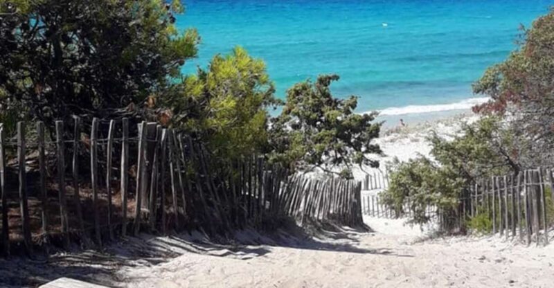 From Calvi: 4x4 Day Tour Mountain & Agriates' Saleccia Beach - Saleccia Beach: A Hidden Jewel