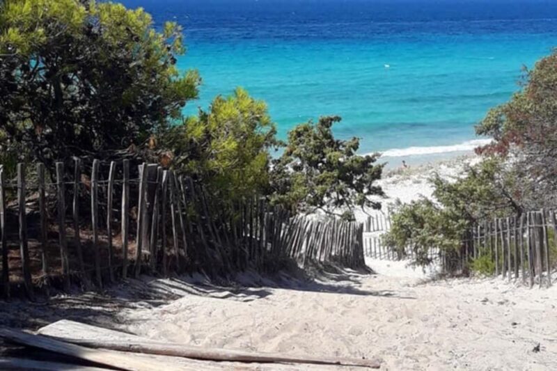 From Calvi: 4x4 Day Tour Mountain & Agriates' Saleccia Beach - Practical Details and Why They Matter
