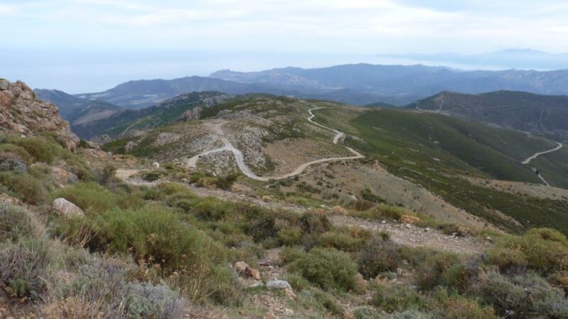From Calvi: 4x4 Day Tour Mountain & Agriates' Saleccia Beach - Who Will Love This Tour?