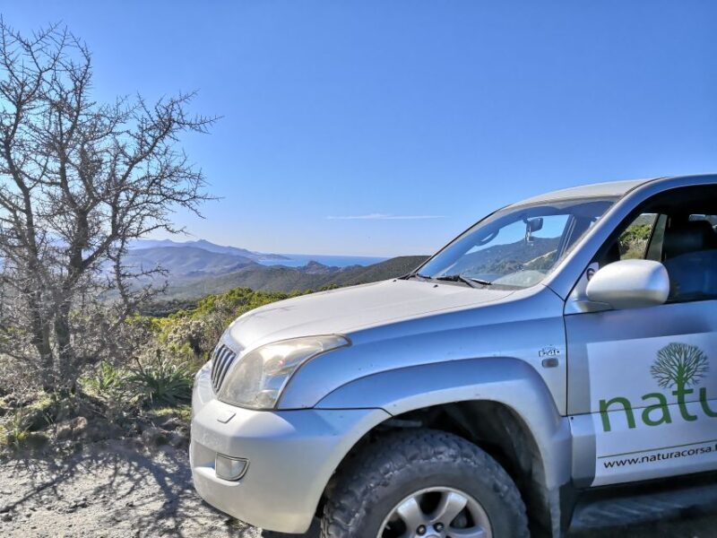 From Calvi: 4x4 Day Tour Mountain & Agriates' Saleccia Beach - The Sum Up
