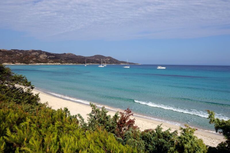 From Calvi: Agriate Guided Jeep Tour to Lotu and Saleccia - Key Points