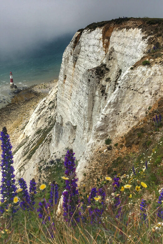 From Cambridge: Guided day trip to Brighton & Beachy Head - Exploring the Coastal Beauty and Cultural Highlights