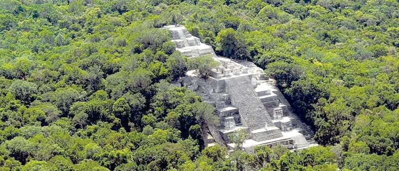 From Campeche: Calakmul Guided Nature and History Day Trip - The Sum Up