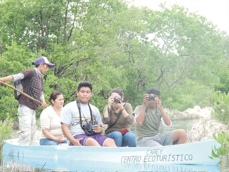 From Campeche: Flamingo Private Tour - Exploring the Wonders of the Yucatán Peninsula