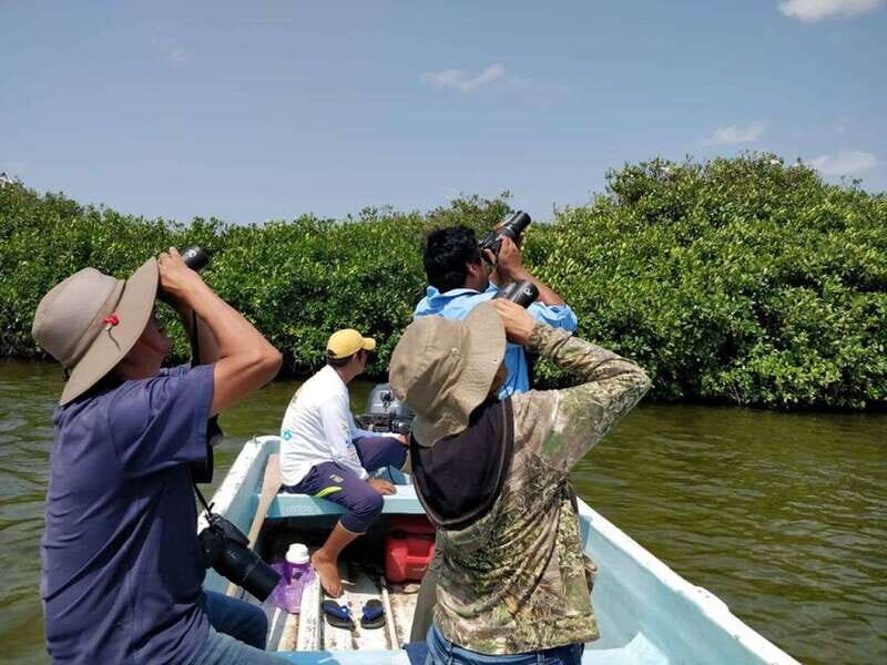 From Campeche: Mamantel River Tour - Final Thoughts: Who Should Book This?