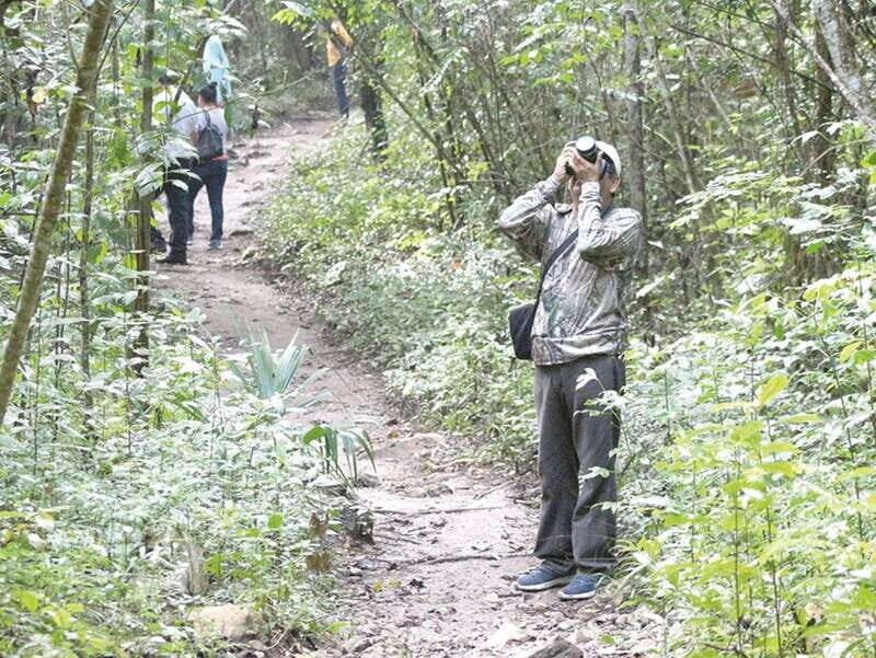 From Campeche: Miguel Colorado Cenotes Tour - Who Is This Tour Best For?