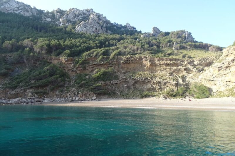 From Can Picafort: Dolphin Watching and Cave Boat Trip - From Can Picafort: Dolphin Watching and Cave Boat Trip — A Detailed Review