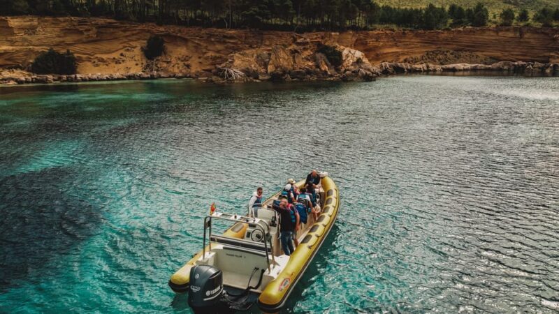 From Can Picafort: Dolphin Watching and Cave Boat Trip - Key Points