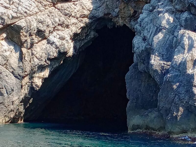 From Can Picafort: Dolphin Watching and Cave Boat Trip - Who Should Consider This Tour?