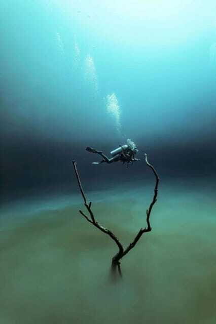 From Cancun: Angelita and Taj Ma Ha Cenote Diving Experience - The Transport and Logistics