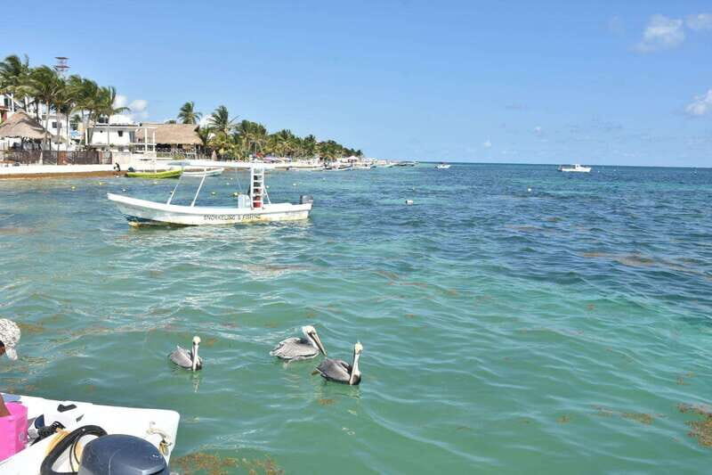 From Cancun: ATV EXPRESS Cenote Adventure with lunch - The Value Proposition