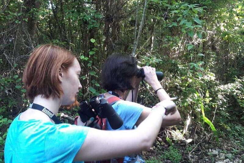 From Cancun: Bird Watching Day Tour - Key Points