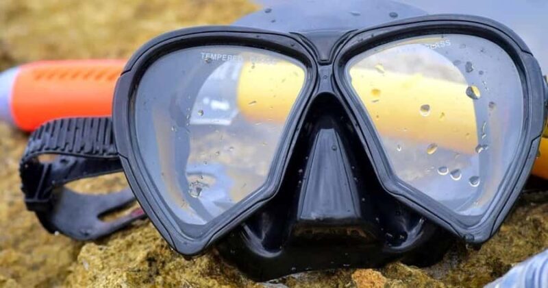 From Cancun: Cenote Snorkeling - Key Points