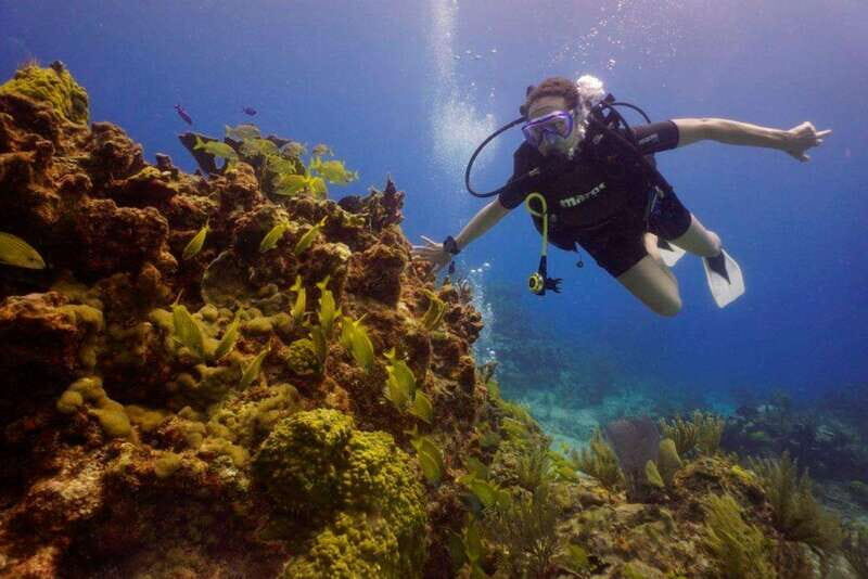 From Cancun: Chikin Ha Cenote Diving Experience - What Makes This Experience Stand Out