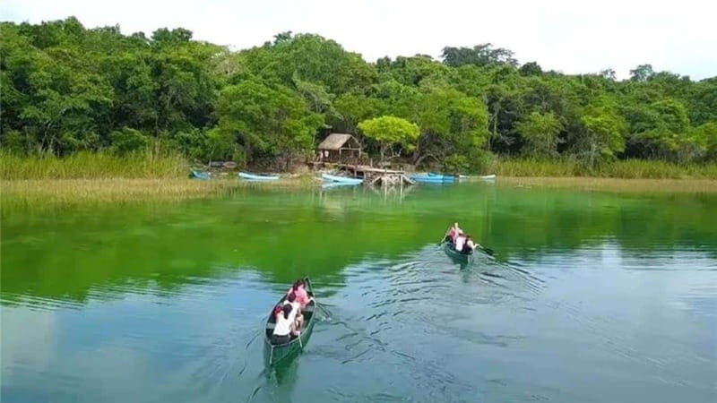 From Cancun: Coba Ruins and Punta Laguna Day Trip - A Deep Dive into the Experience