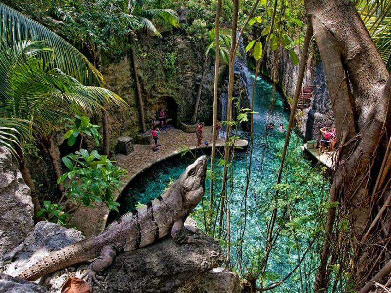 From Cancun: Complete Combo to Xcaret Park! - Key Points