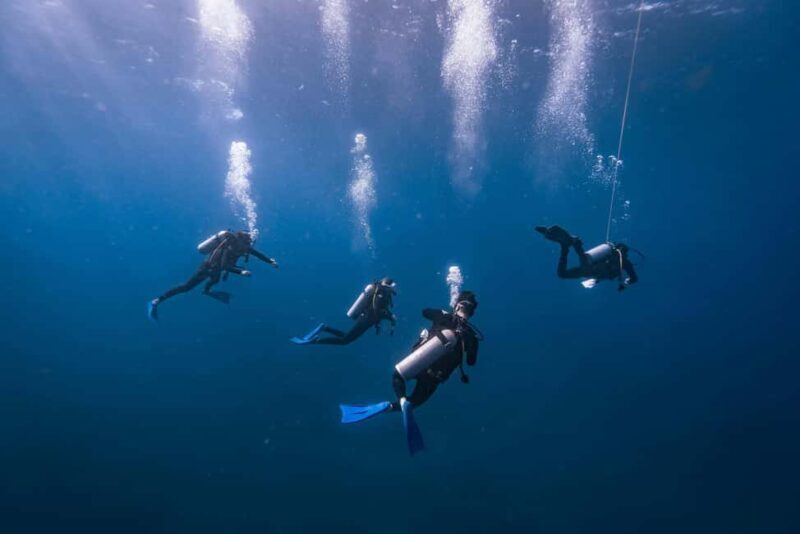 From Cancun: Enjoy a catamaran tour of Islas Mujeres with buffet lunch - ADeeper Dive: Why This Tour Works