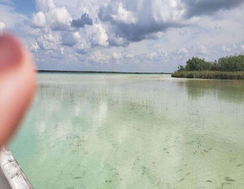 From Cancun: Lagoon k'an luum - Who Should Consider This Tour?