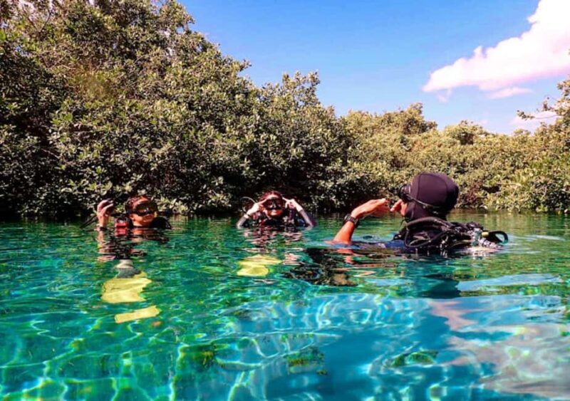 From Cancun: Ocean Reef Snorkeling - Overview of the Tour Experience