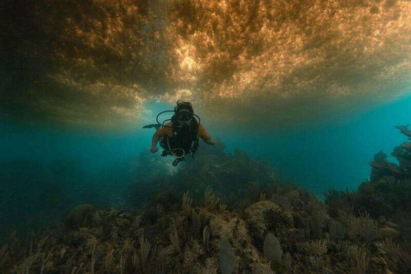 From Cancun: Puerto Morelos Diving Adventure - Why choose the Puerto Morelos Diving Adventure?