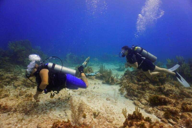 From Cancun: Puerto Morelos Diving Adventure - Who is this tour best suited for?