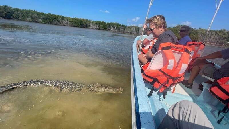 From Cancun: Rio Lagartos and Las Coloradas Day Trip - Final thoughts