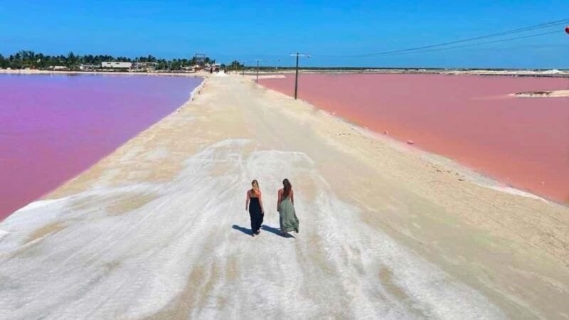 From Cancún: Rio Lagartos & Las Coloradas Day Trip & Lunch - What Makes This Tour Worth Considering?