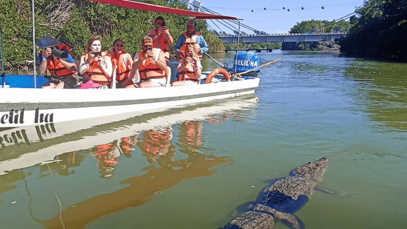 From Cancún: Rio Lagartos & Las Coloradas Day Trip & Lunch - Who Is This Tour Best For?