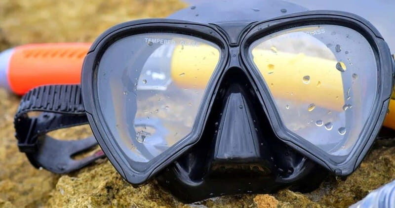 From Cancun: Snorkeling Cozumel The Heaven - What You Can Expect From the Tour