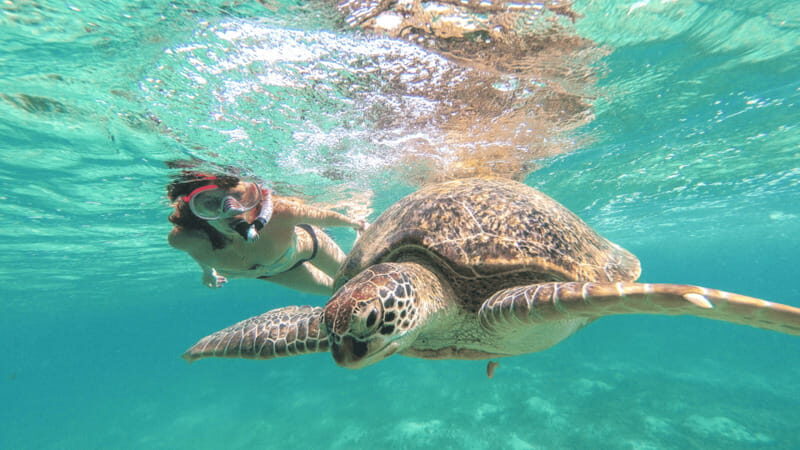 From Cancun: Tulum and Akumal Cenote and Turtle Swim Tour - Who Should Consider This Tour?