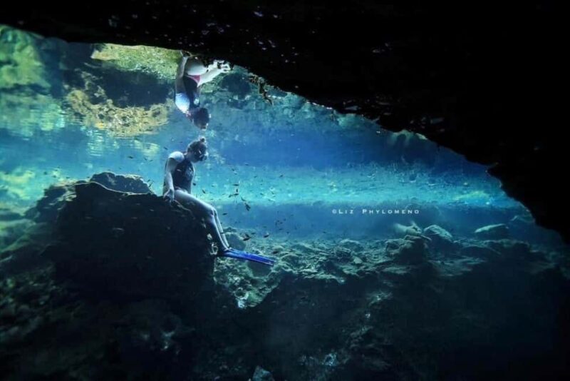 From Cancun: Whale Sharks Snorkeling - An Overview of the Whale Sharks Snorkeling Tour from Cancun