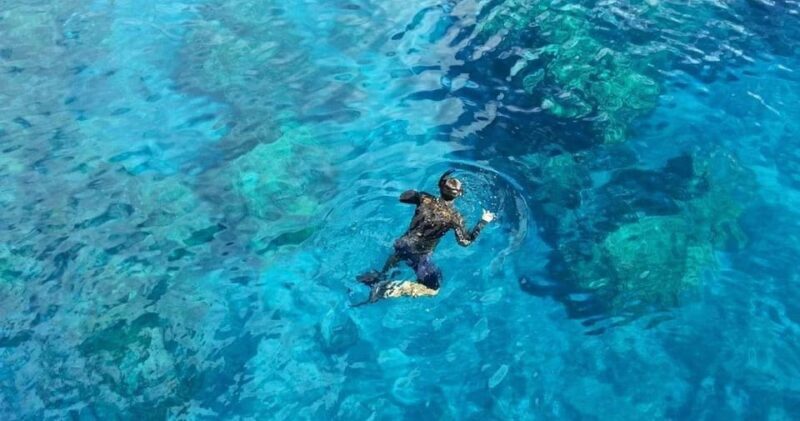 From Cancun: Whale Sharks Snorkeling - Who Is This Tour Best For?