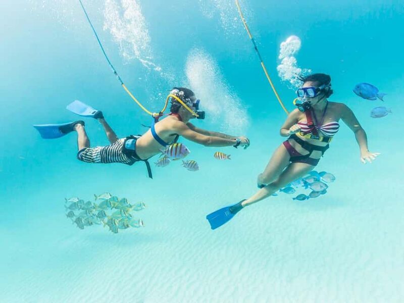 From Cancun: Xcaret Park All-Inclusive - What You Can Expect at Xcaret Park