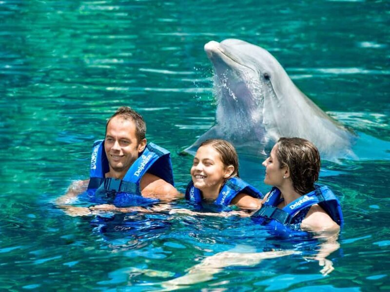 From Cancun: Xel-Há All-Inclusive Park - FAQs