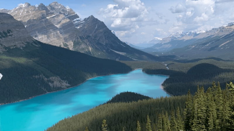 From Canmore/Banff: Icefields Parkway Experience - Real Traveler Feedback