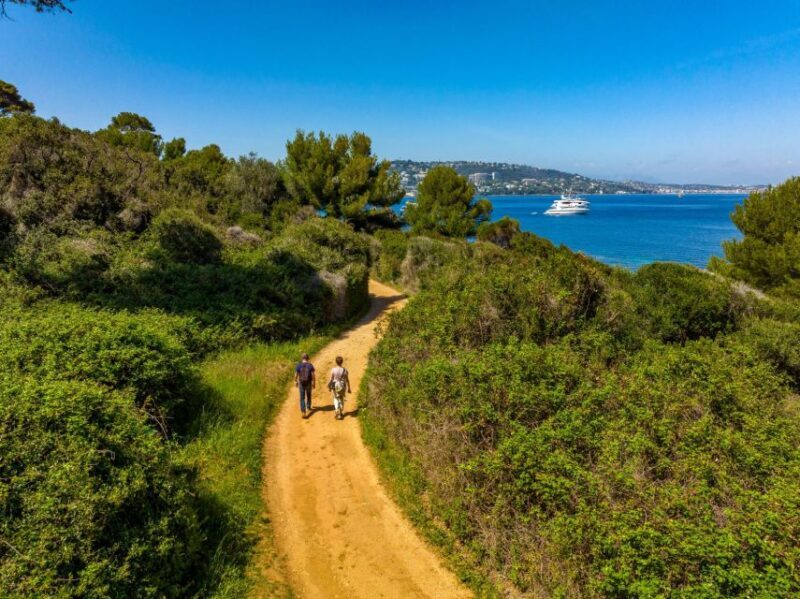 From Cannes: Round-Trip Ferry to Ste. Marguerite Island - Practical Tips for Your Visit