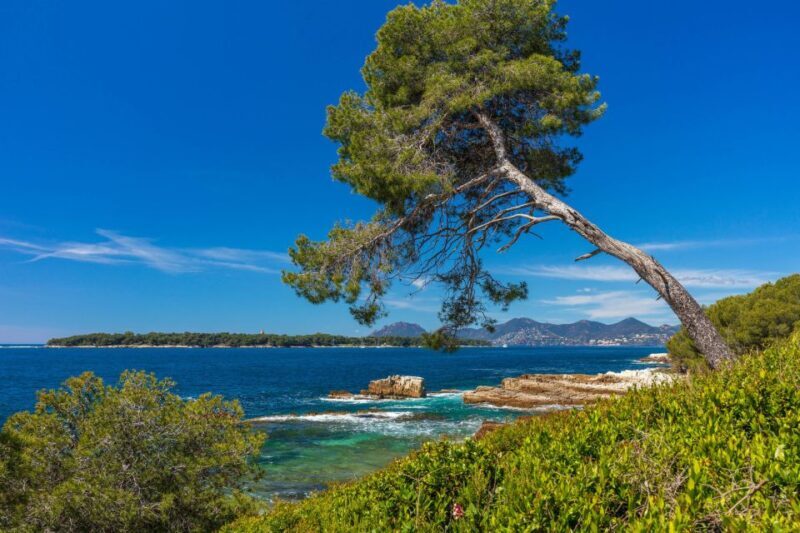 From Cannes: Round-Trip Ferry to Ste. Marguerite Island - FAQ