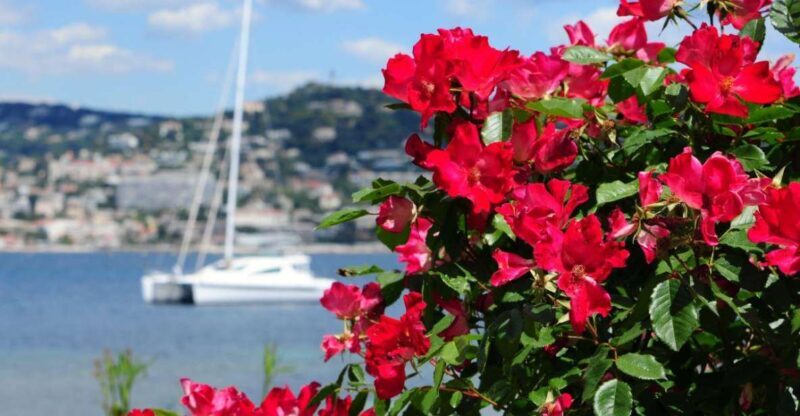 From Cannes:Shore excursion to Grasse,Antibes,St PauldeVence - Who Should Consider This Tour?