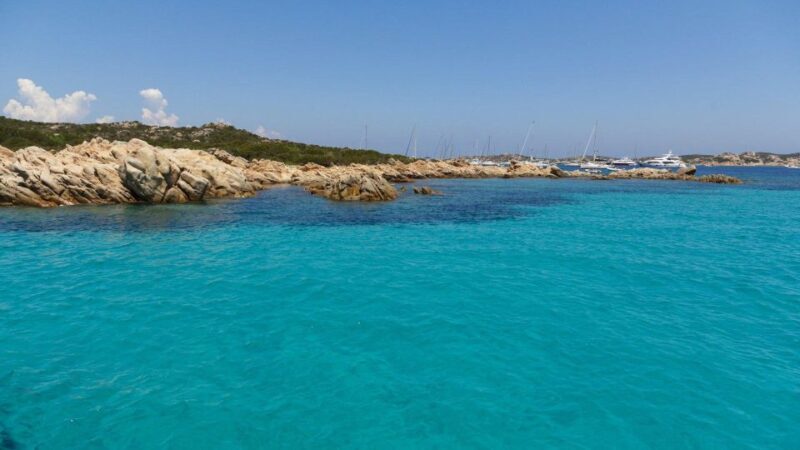 From Cannigione: Catamaran tour in La Maddalena Archipelago - Key Points