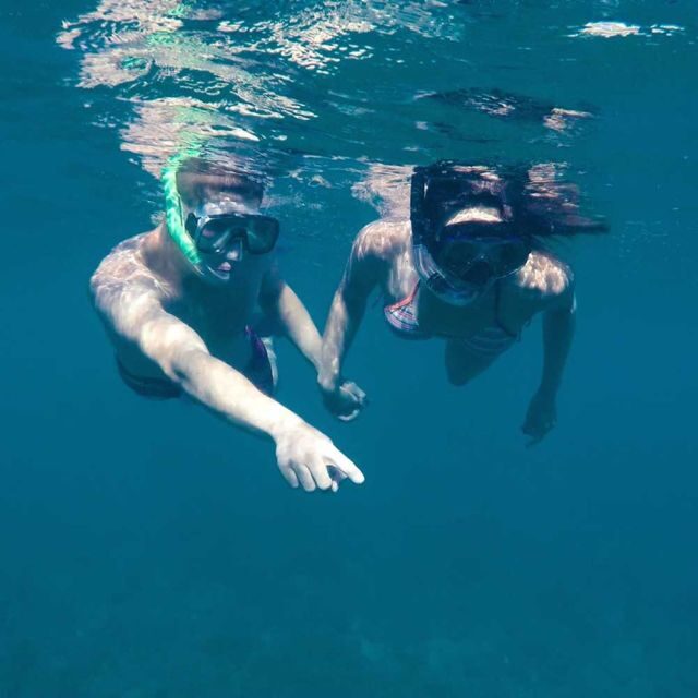 From Cannigione: Private Boat Tour, Snorkeling in Tahiti - Reviewing the Experience: What Travelers Say
