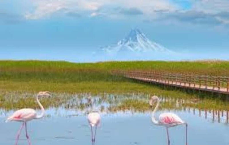 From Cappadocia: Sultan Marshes Area & Waterfall Tour - A Natural Escape from Cappadocia’s Fairy Chimneys