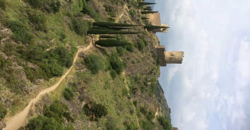 From Carcassonne:Lastours Castles & Carcassonne Guided Tour - Final Thoughts: Who Will Love This Tour?