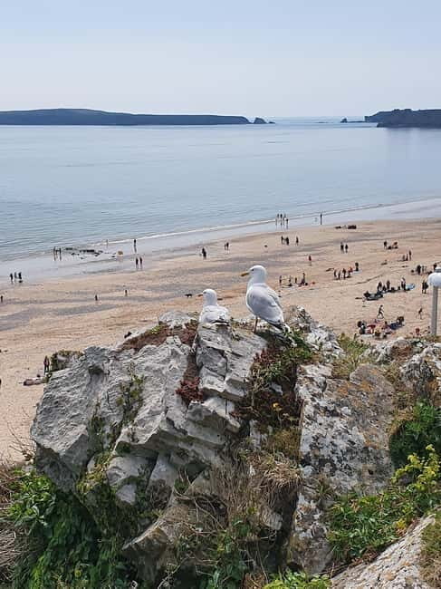 From Cardiff: The Wandering Bard's Mythical West Wales Tour - Final Thoughts: Is It Worth It?