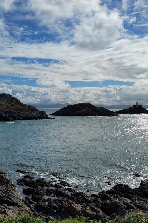 From Cardiff: The Wandering Bard's Swansea Bay Day Tour - Key Points