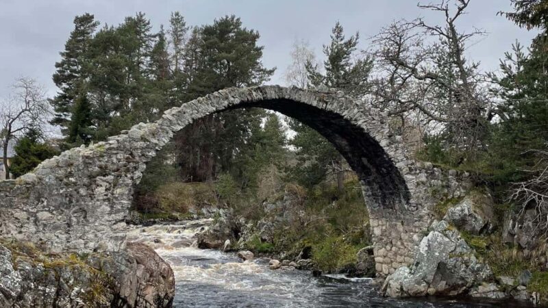 From Carrbridge: Cairngorms, Whisky, and Highland History - Introduction: An Authentic Highland Day Out