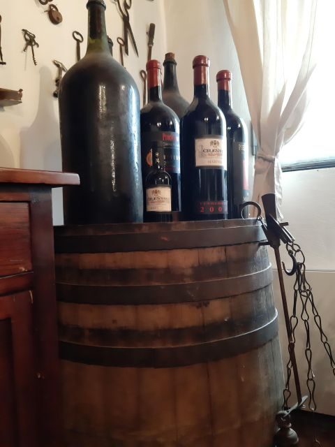From Castellabate: Food Tour in Cilento National Park - FAQs
